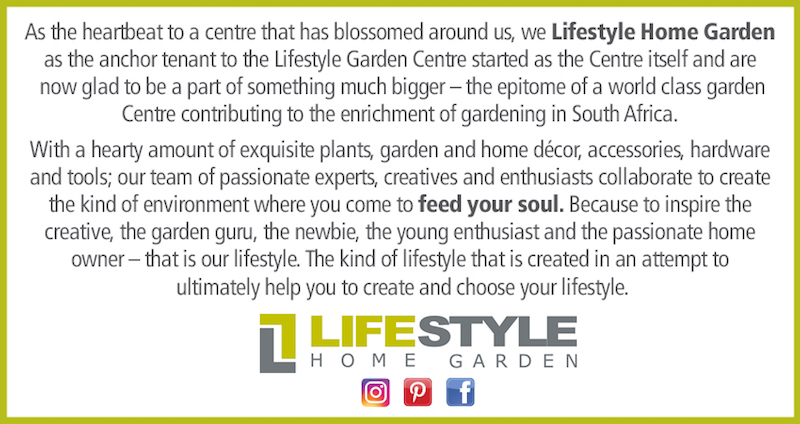 Lifestyle Home Garden Cliff Central advertorial – The Real Network